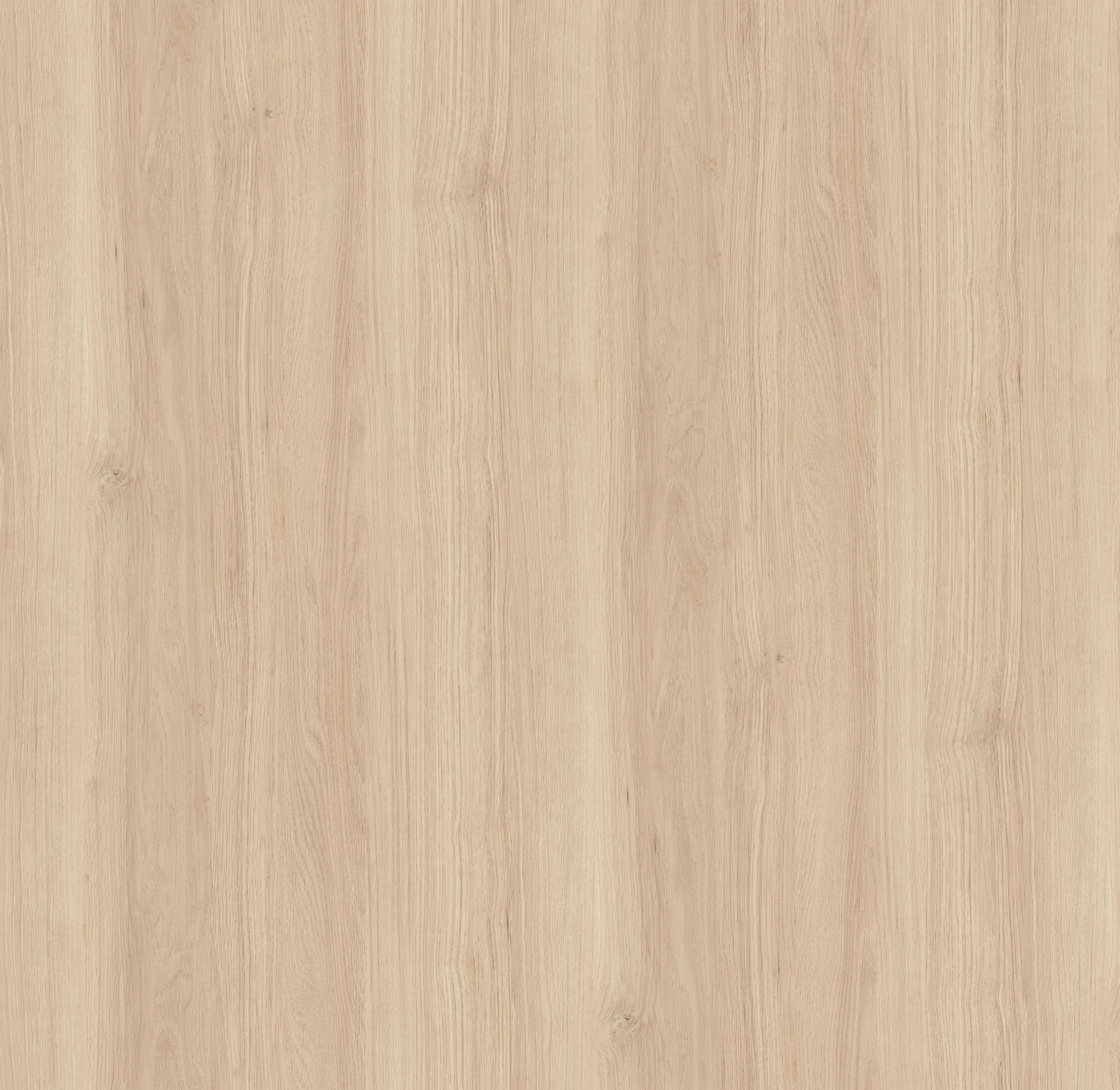 COMMUNICATION TABLE | ワークテーブル「SENTIR （センティア）」｜家具｜コクヨ